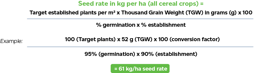 Cereal Seed Sowing Rates
